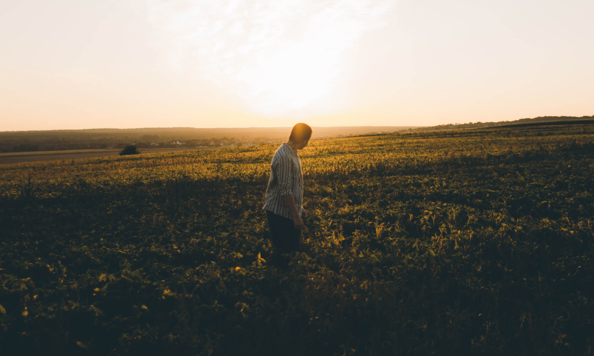 Cognitive Behavioral Therapy for Eating Disorders - CBT